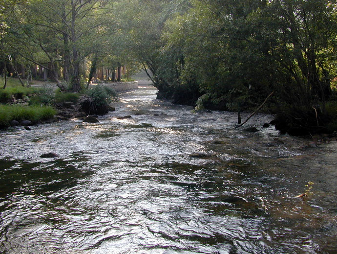 Río Deva / Río Deva :: A Cañiza y Arbo. PONTEVEDRA / Pontevedra / Ríos ...